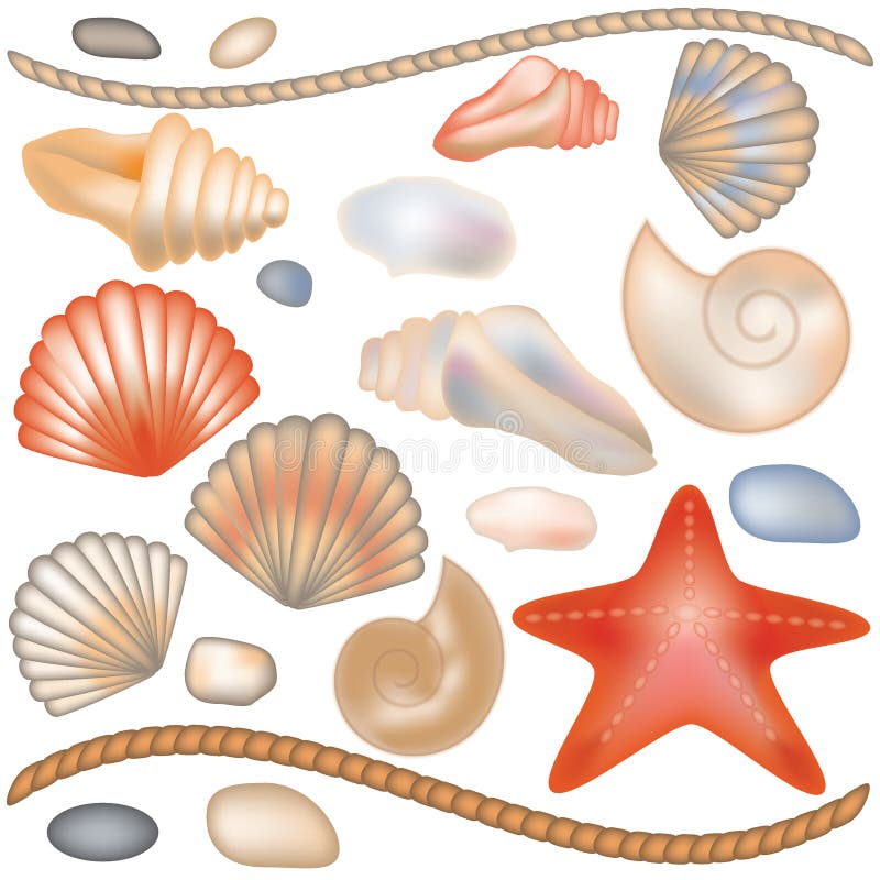 Set seashells and starfish stock illustration. Illustration of frame ...