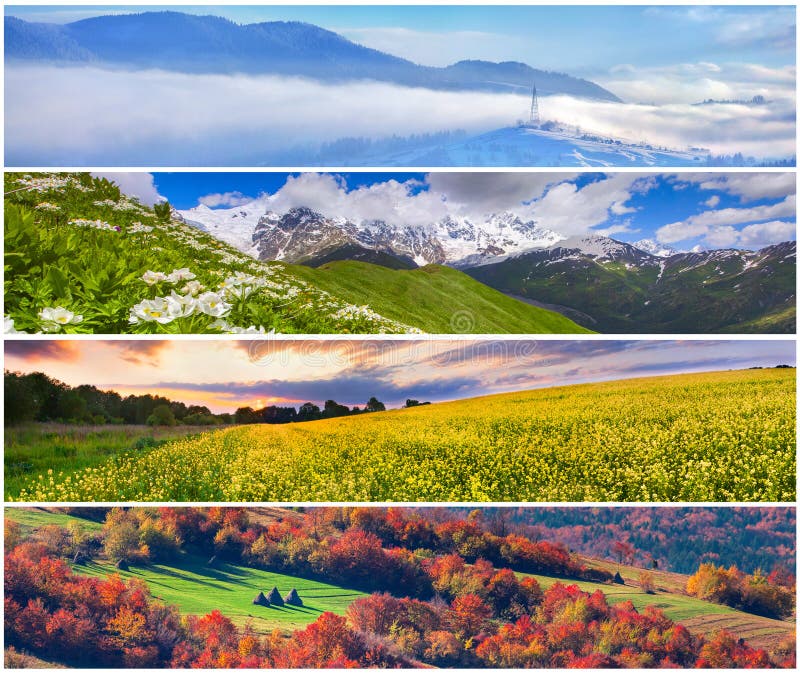 Set of the 4 Seasons Landscape Stock Photo - Image of country, forest ...