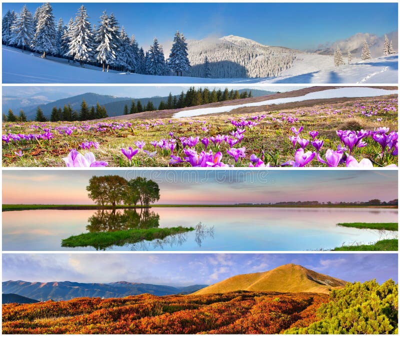 Set of the 4 Seasons Landscape Stock Photo - Image of fall, outdoor ...