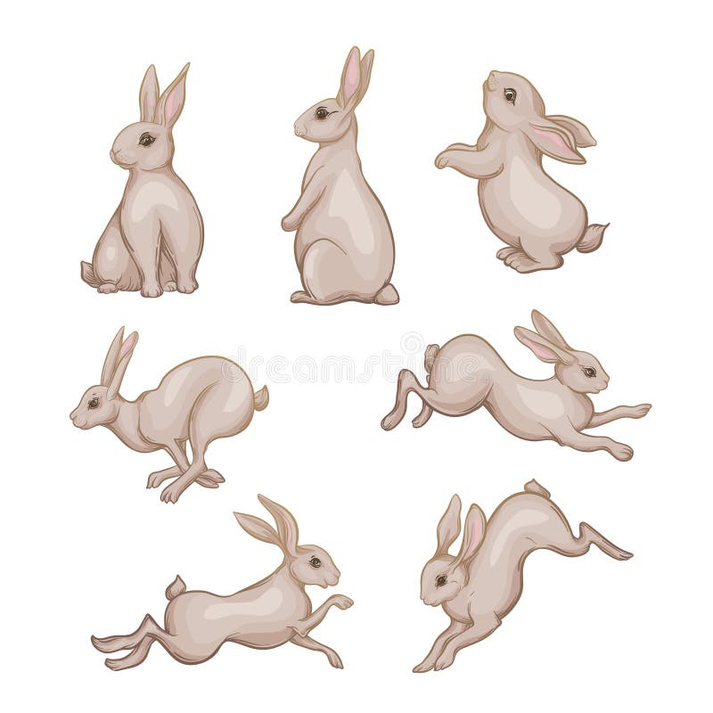 Set of Seven Cute Hares, Rabbits. Stock Vector - Illustration of ...