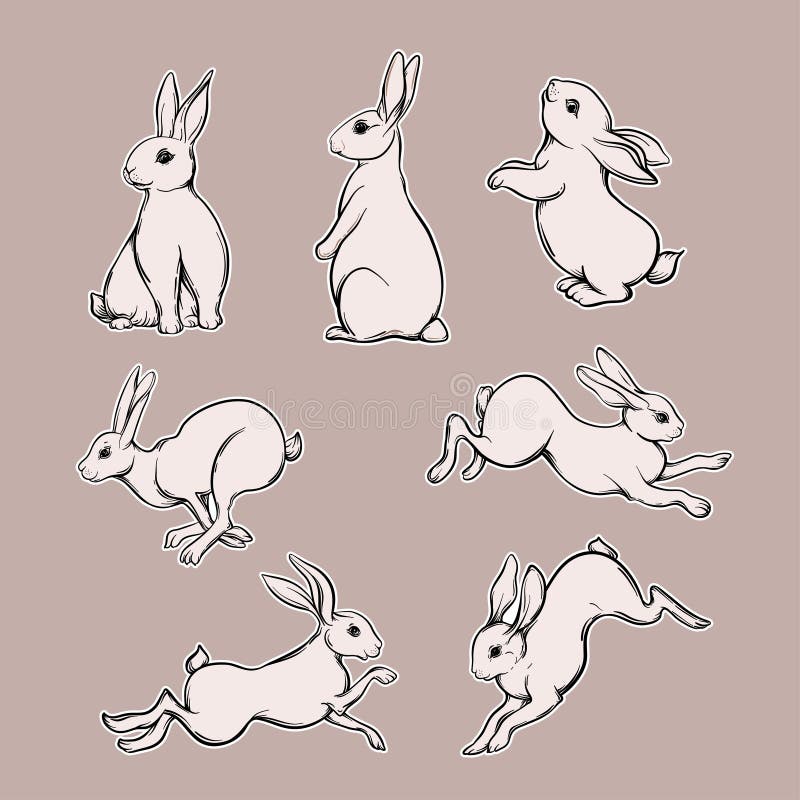 Set of Seven Cute Hares, Rabbits. Stock Vector - Illustration of logo ...
