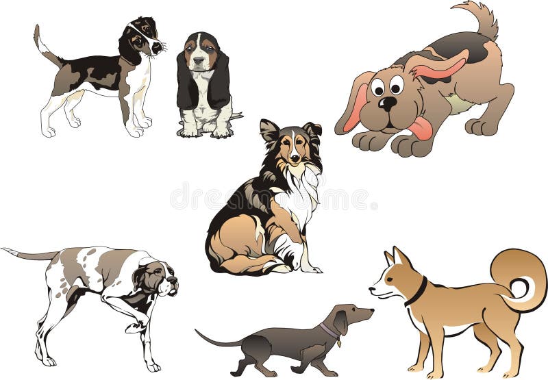 Set of seven dogs - vector stock vector. Illustration of funny - 5914153