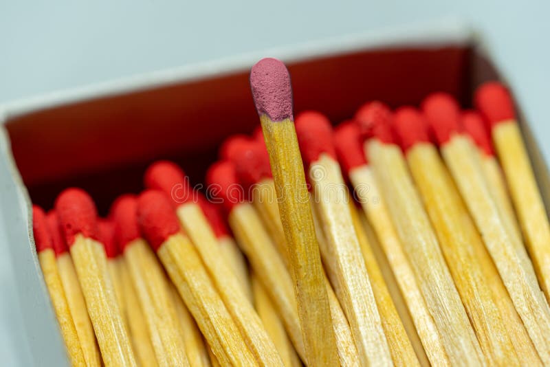 Set of Several Defocused Red-headed Matchsticks with One Pink-headed ...