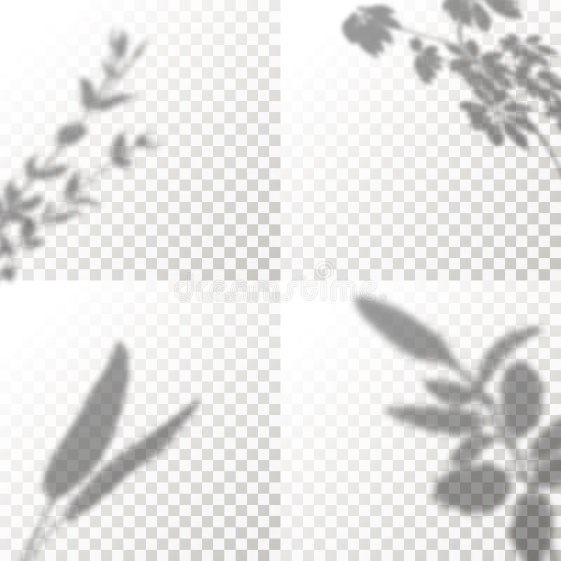 Shadow Overlay Plant Vector Mockup Vertical Business Card. Vector ...