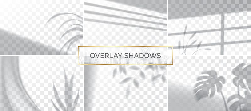Shadows, Overlay Effects Mock Up, Leaf of Palm Tree Plant, Natural ... Shadows, Overlay Effects Mock Up, Leaf of Palm Tree Plant, Natural ...