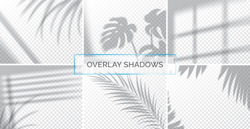 Shadows Overlay Effects Mock Up, Window Frame Natural Light, Vector ... Shadows Overlay Effects Mock Up, Window Frame Natural Light, Vector ...