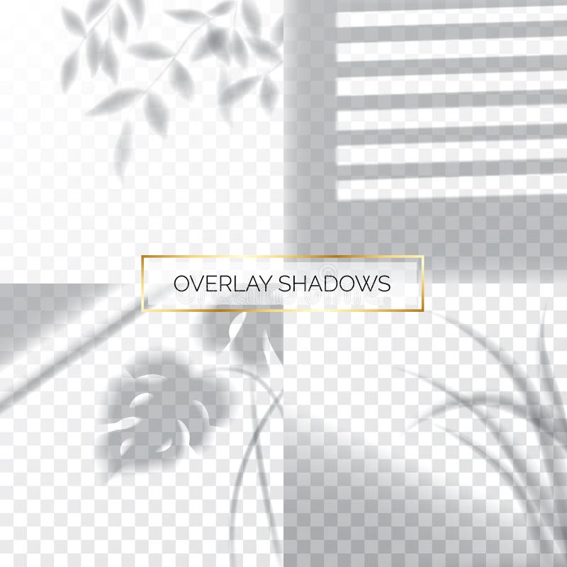 Shadows Overlay Effects Mock Up, Window Frame Natural Light, Vector ... Shadows Overlay Effects Mock Up, Window Frame Natural Light, Vector ...