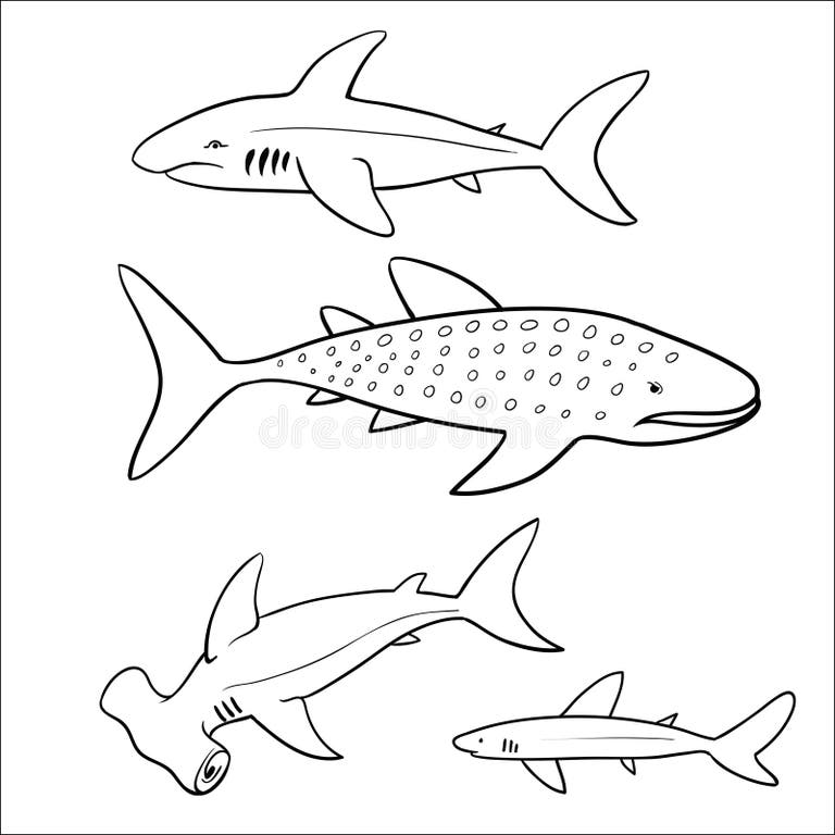 Shark Types Stock Illustrations – 293 Shark Types Stock Illustrations ...