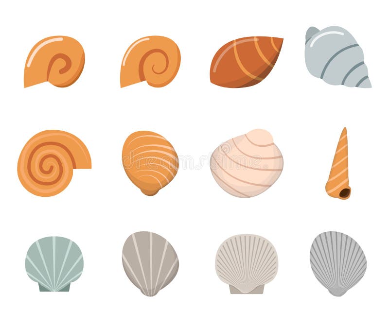 Set of Shell in Flat Style, Top View Stock Vector - Illustration of ...