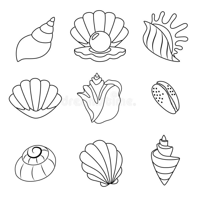 Set of Shell Images in Simple Linear Style, Black and White Graphics ...