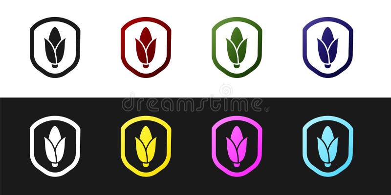 Set Shield Corn Icon Isolated on Black and White Background. Security ...