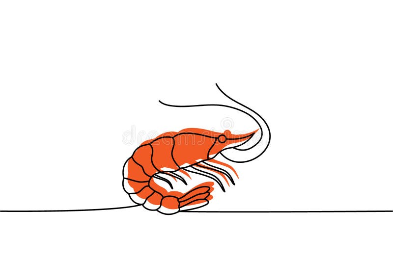 Continuous Shrimp Vector Illustration, One Line Prawn Drawing Stock ...