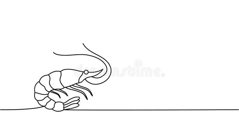 Set of Shrimp One Line Continuous Drawing. Shrimp Continuous One Line ... Set of Shrimp One Line Continuous Drawing. Shrimp Continuous One Line ...