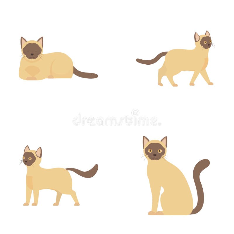 Siamese Cat Collection Stock Illustrations – 1,682 Siamese Cat ...