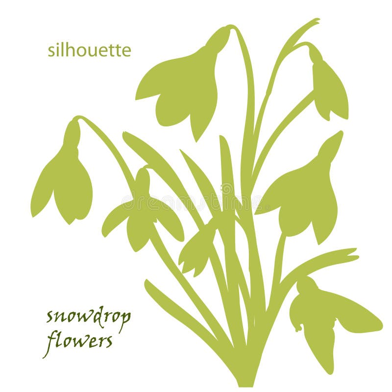 Set Silhouette Beautiful Snowdrop Flowers Stock Illustration ... Set Silhouette Beautiful Snowdrop Flowers Stock Illustration ...