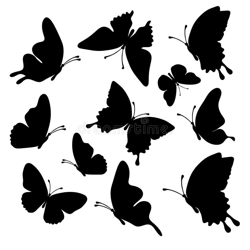 Silhouette Black Fly Flock Butterflies Stock Illustrations – 120 ... Silhouette Black Fly Flock Butterflies Stock Illustrations – 120 ...