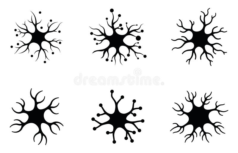 Set of Silhouette Black Flat Neuron Cells with Long Axons. Vector ...
