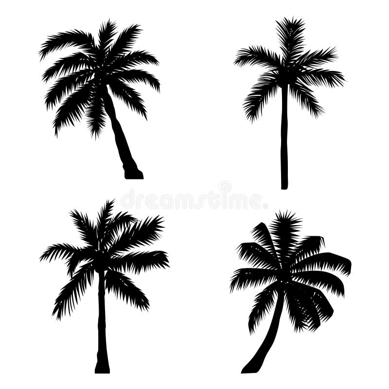 Set of Silhouette Coconut Trees, Natural Sign, Vector Illustration ...