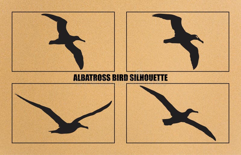 Set of Silhouettes of Bird Albatross, Albatross Bird Silhouette Vector ...