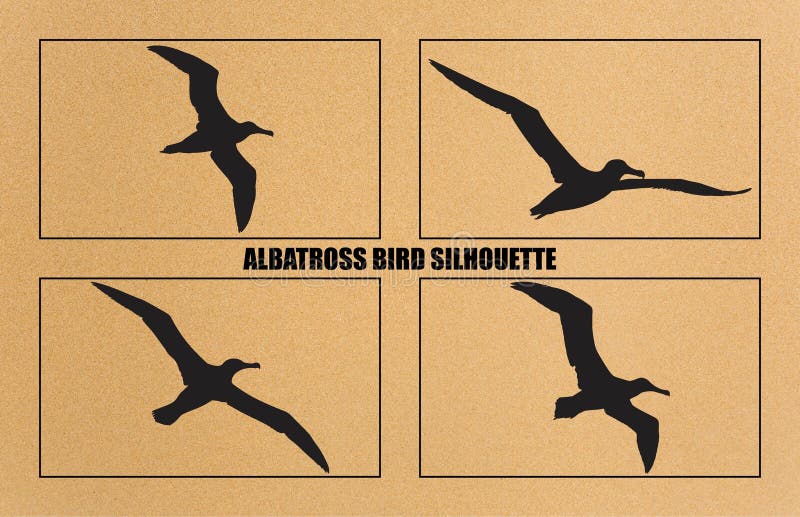 Set of Silhouettes of Bird Albatross, Albatross Bird Silhouette Vector ...