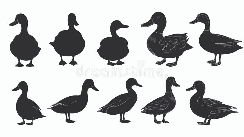 Duck Silhouettes Collection - Detailed Vector Illustration for Design ...