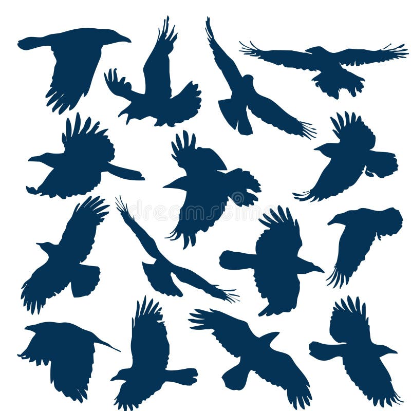 Flying Crow Clip Art