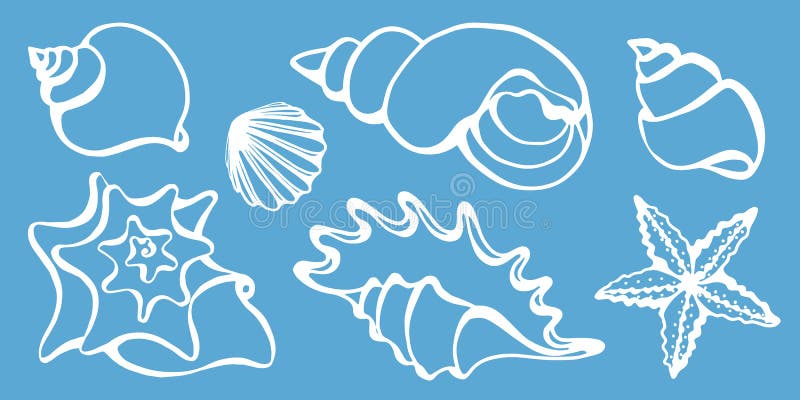 Symbol of Silhouettes of Sea Shells in Circle. Rainbow Color Set of ...