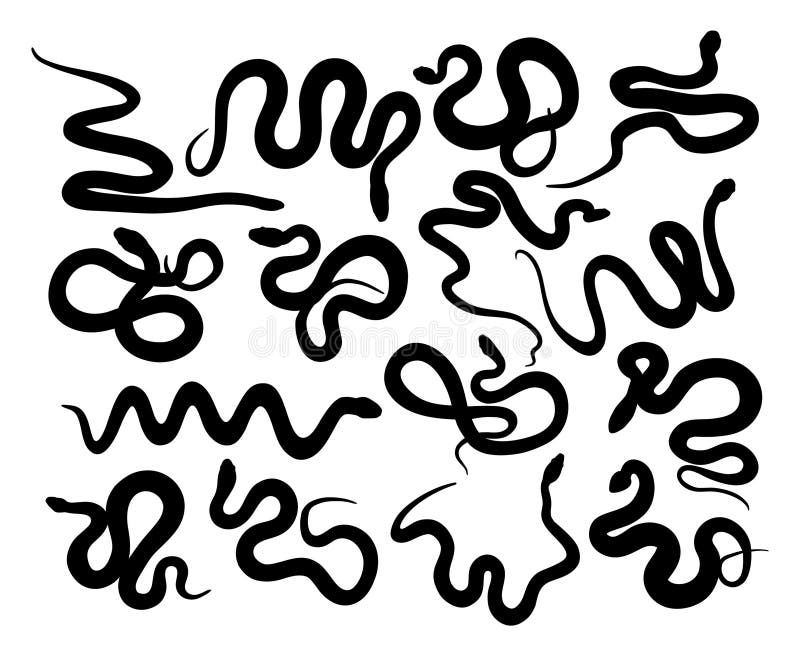 Set silhouettes of snakes. stock vector. Illustration of poisonous ...