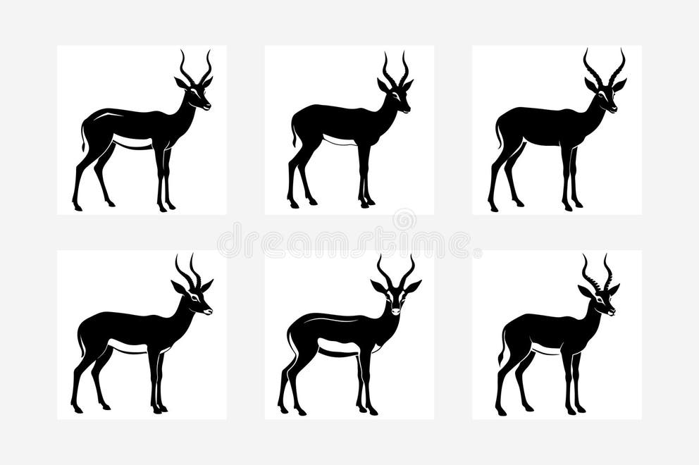 Set of Silhouettes of Springbok Stock Vector - Illustration of concept ...