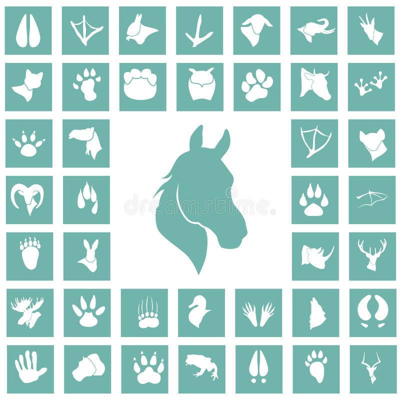 Set of Simple Pet Animals Face Line Art Stock Vector - Illustration of ...