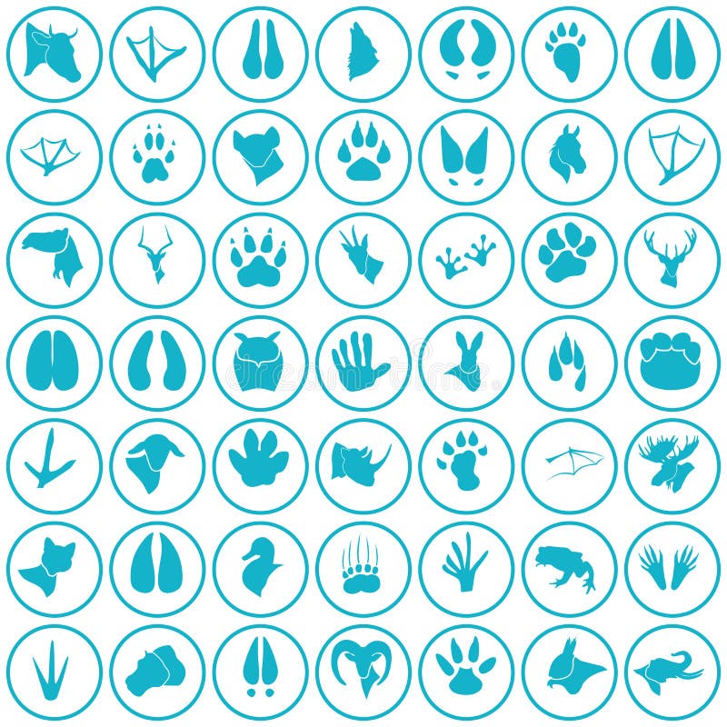 Set of Simple Pet Animals Face Line Art Stock Vector - Illustration of ...