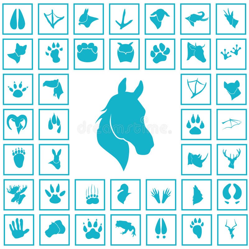 Set of Simple Animals Icons Stock Vector - Illustration of frog, icons ...