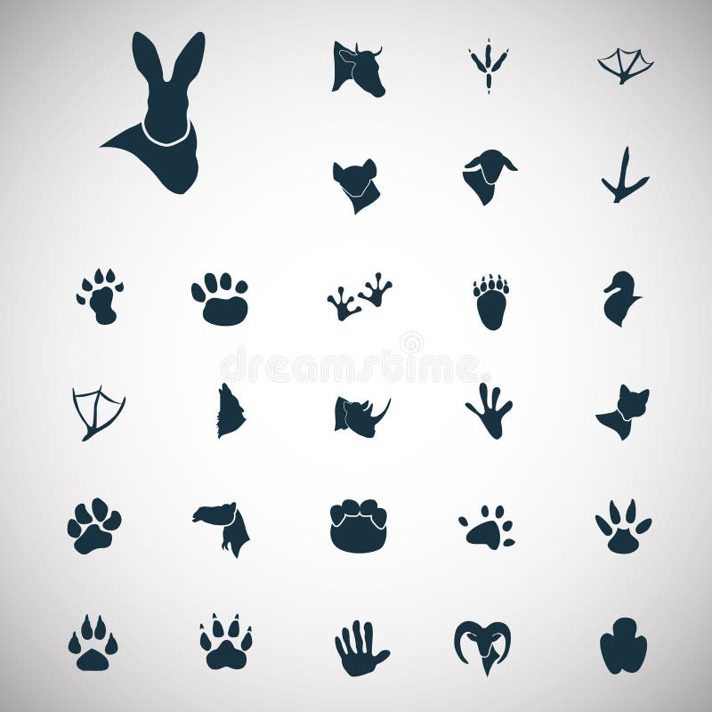 Set of Simple Animals Icons Stock Illustration - Illustration of symbol ...