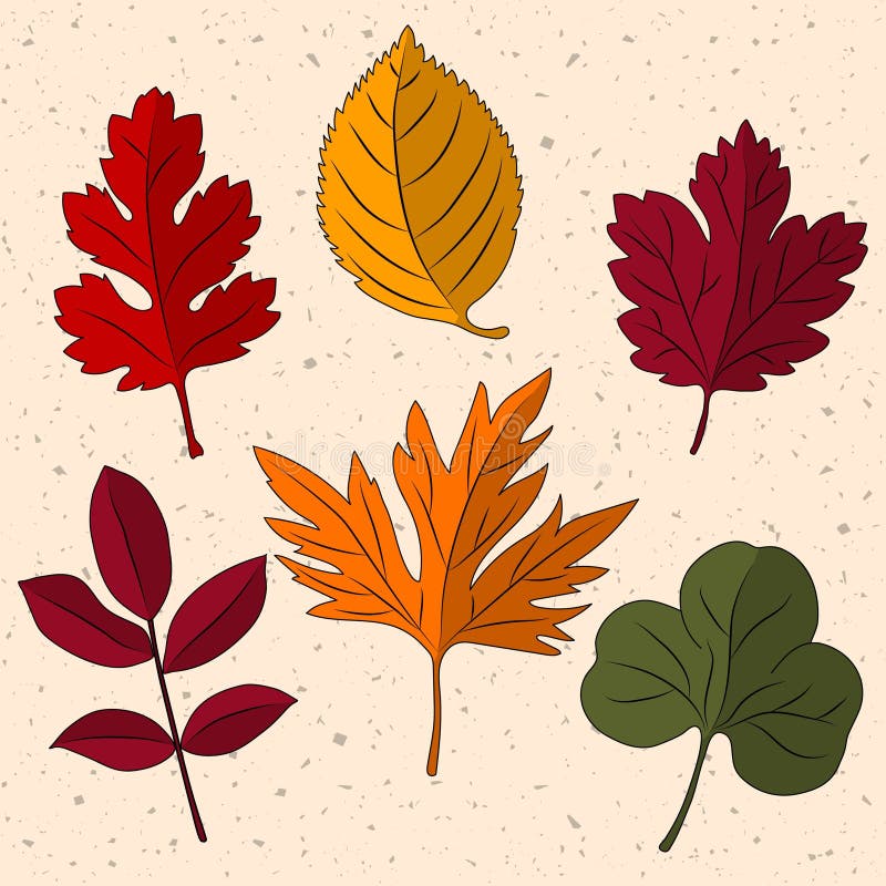 Set of Simple Autumn Leaves. Stock Illustration - Illustration of ...