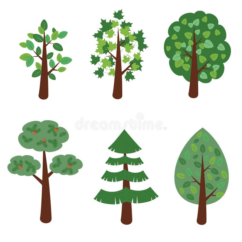 Set of Simple Cartoon Deciduous Trees and Conifers , Vector ...