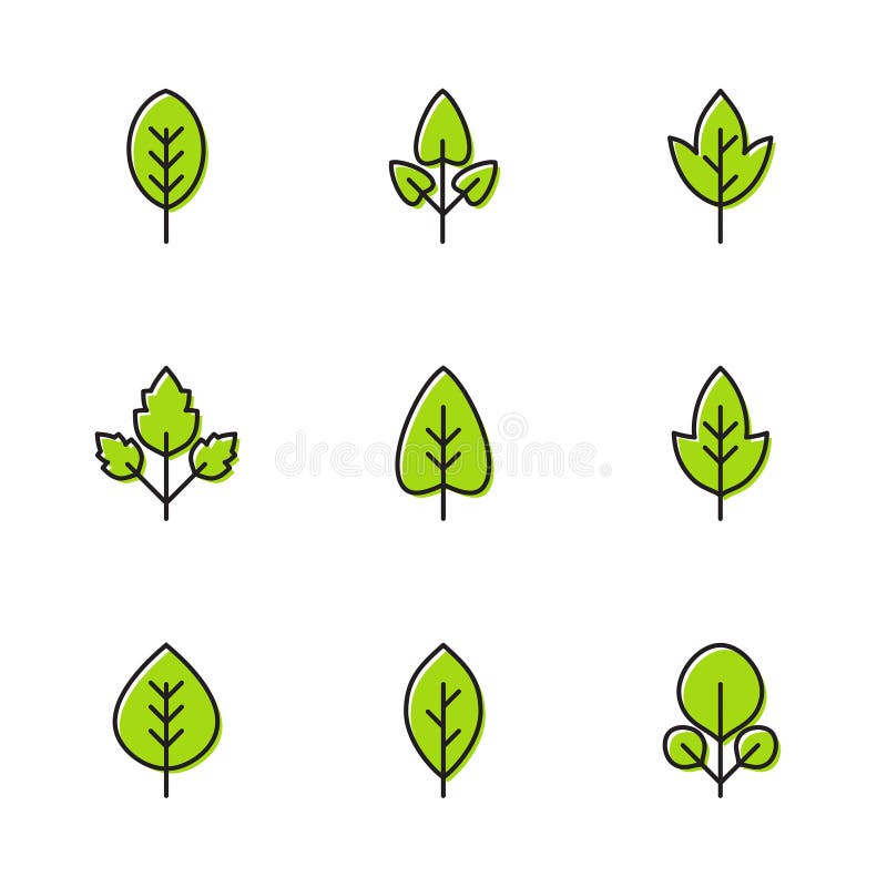 Set simple leaf icons stock vector. Illustration of botany - 160580318
