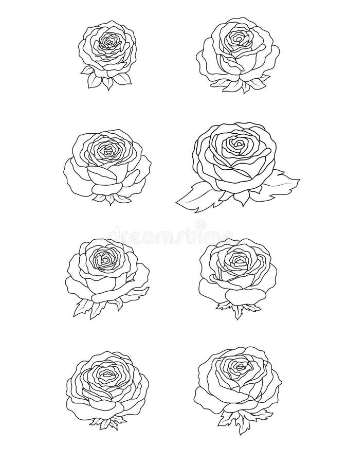 Set of Simple Rose Flower Hand Drawn Line Art Stock Vector ...