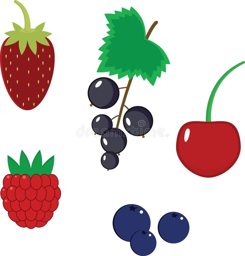 Set of Simple Vector Berries Stock Vector - Illustration of summer ...