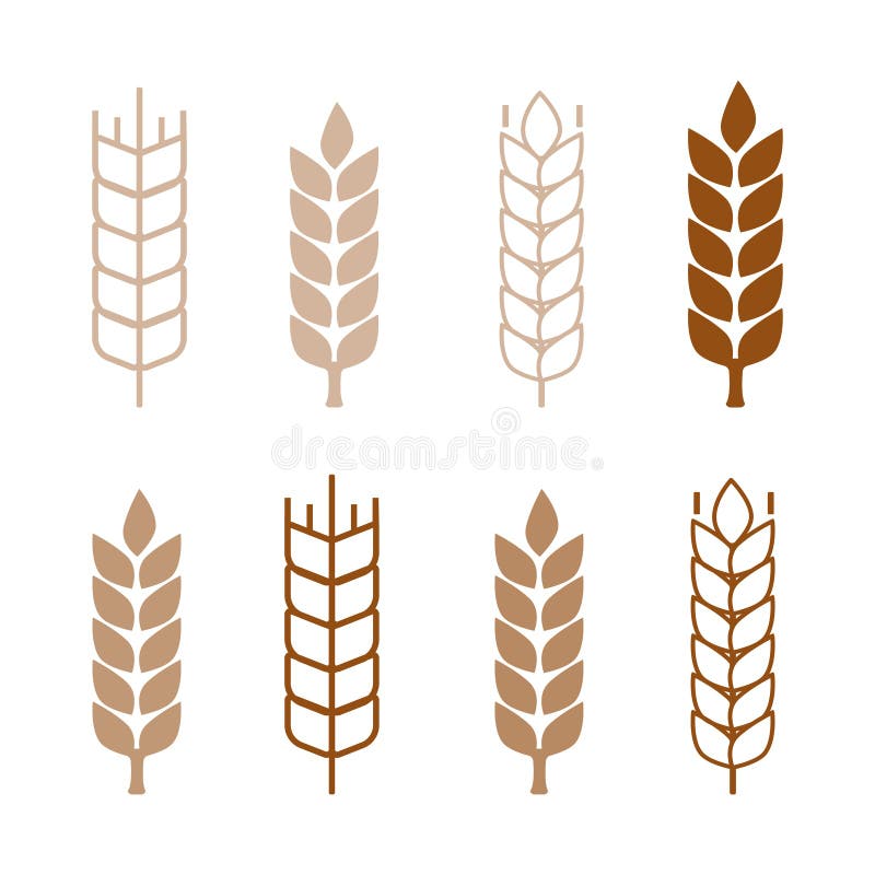 Set of Simple Wheat Ears Icons and Wheat Design Elements. Wheat Stock ...