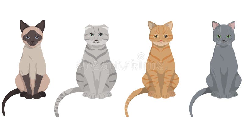 Set of Sitting Different Cats Stock Vector - Illustration of siamese ...