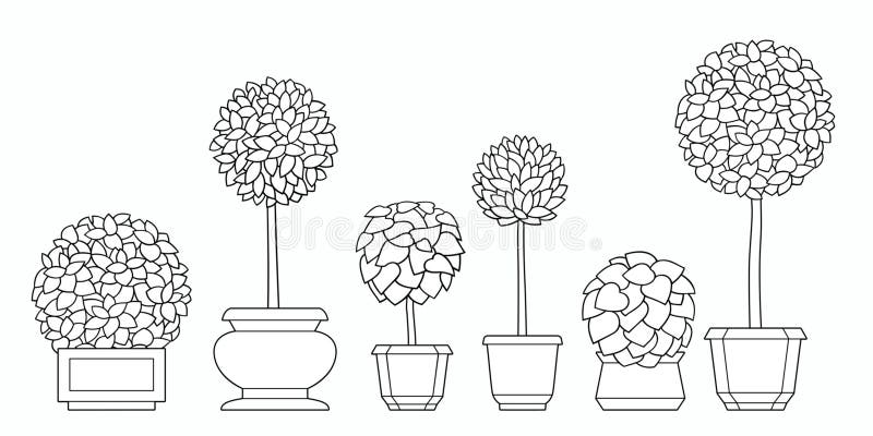 Set Of Six Plants In Pots Isolated On White Background Small Trees And Shrubs Stock Image