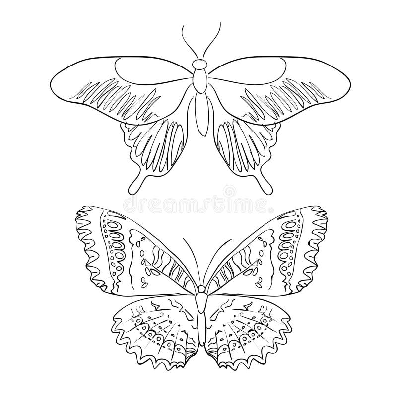 Set of Sketches Doodle Butterflies Stock Vector - Illustration of ... Set of Sketches Doodle Butterflies Stock Vector - Illustration of ...