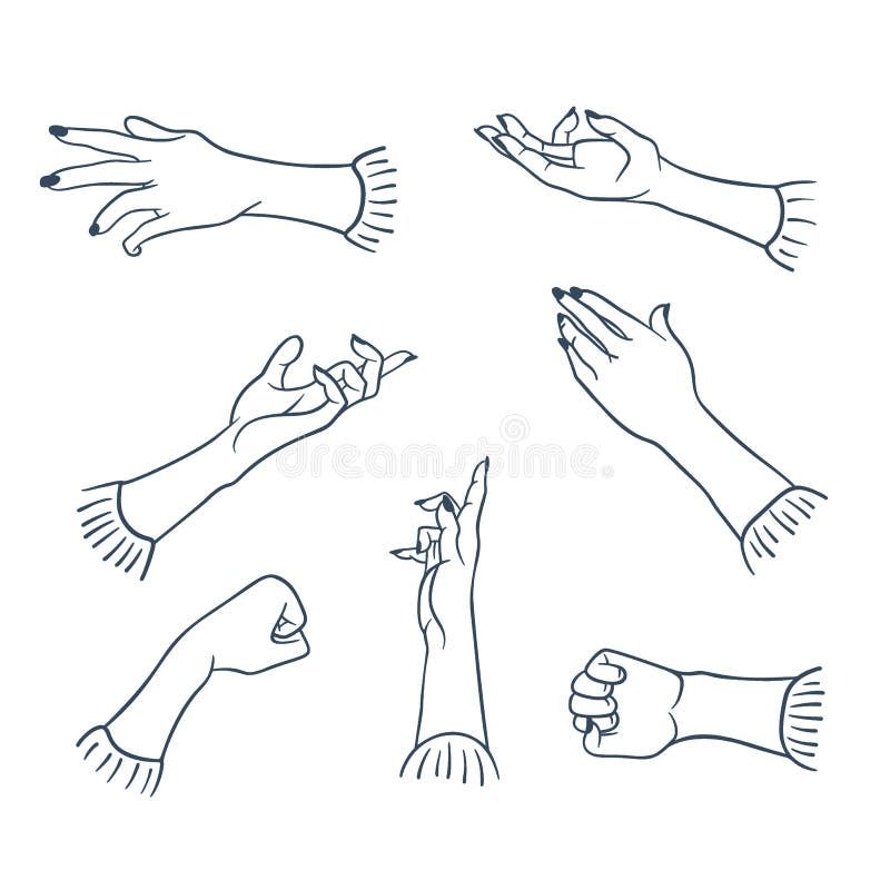 A Set of Sketches of Hands in Different Positions Stock Vector ...