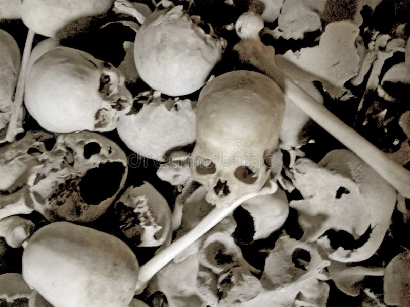 Set of Skulls and Real Human Bones Piled on the Ground Stock Image ...