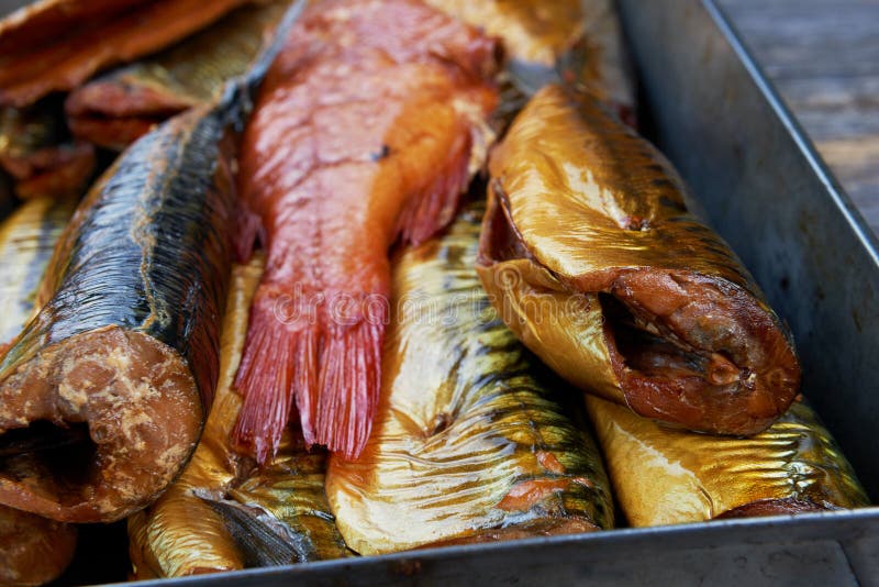 Set of smoked fish stock image. Image of healthy, fishing - 80286143