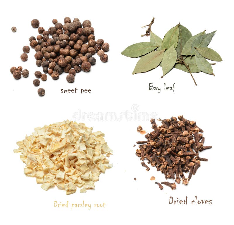 Set of Spices of Four Varieties on a White Isolated Background. Stock ... Set of Spices of Four Varieties on a White Isolated Background. Stock ...