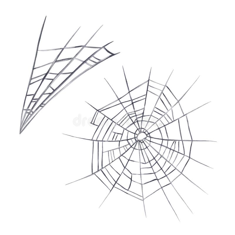 Set of Spider Webs. Large Round Stock Illustration - Illustration of ...