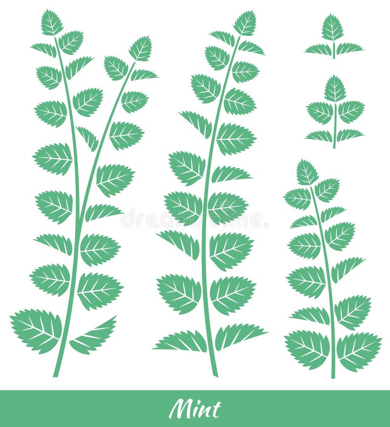 Sprigs Logo Stock Illustrations – 289 Sprigs Logo Stock Illustrations ...