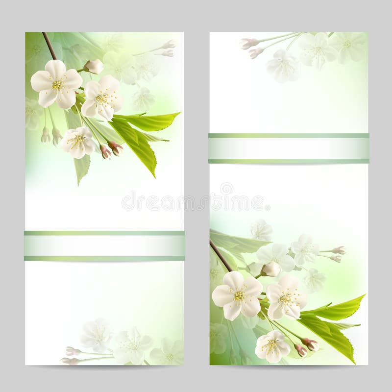 Set of spring banners stock vector. Illustration of closeup - 29614970