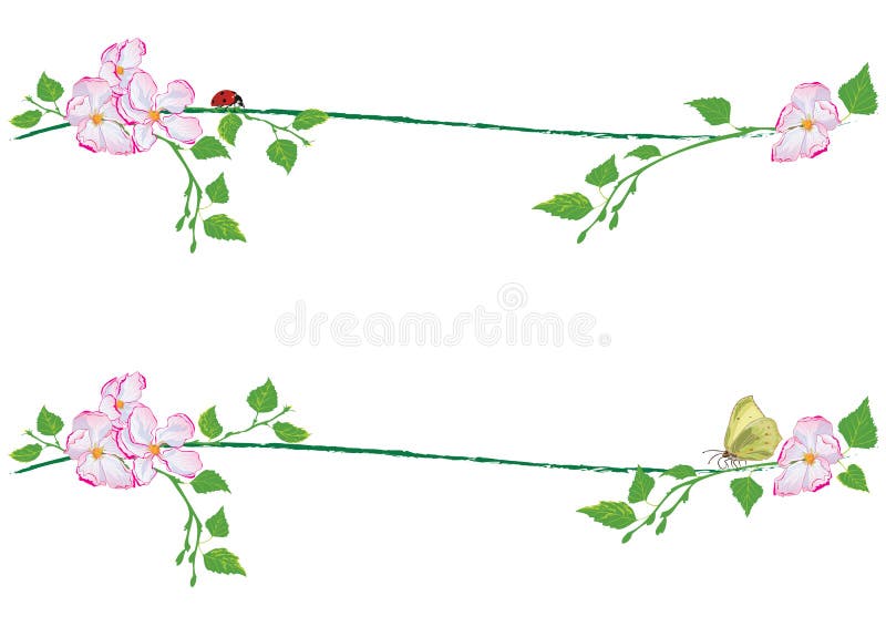 Butterfly Divider Line Stock Illustrations – 126 Butterfly Divider Line ...